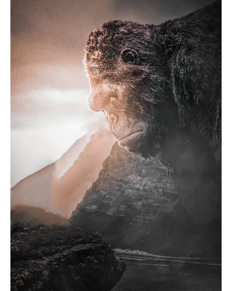 Trending Photoshop editing background || Free trending background