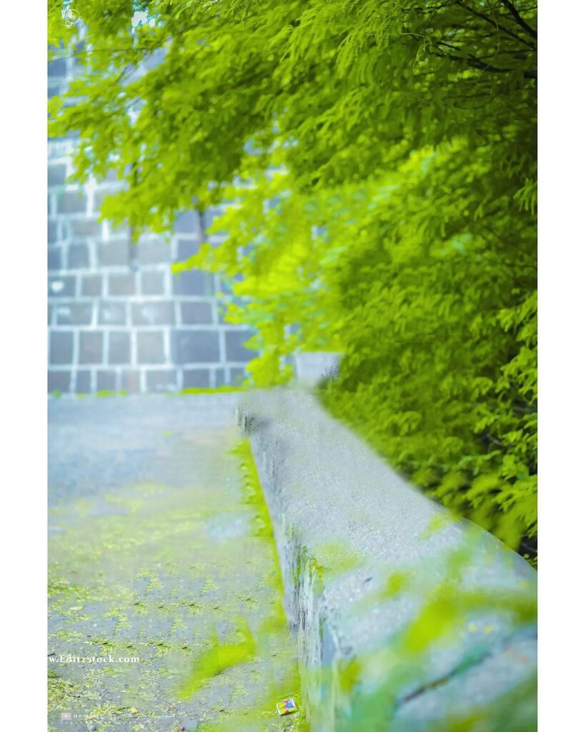 natural hd cb editing background