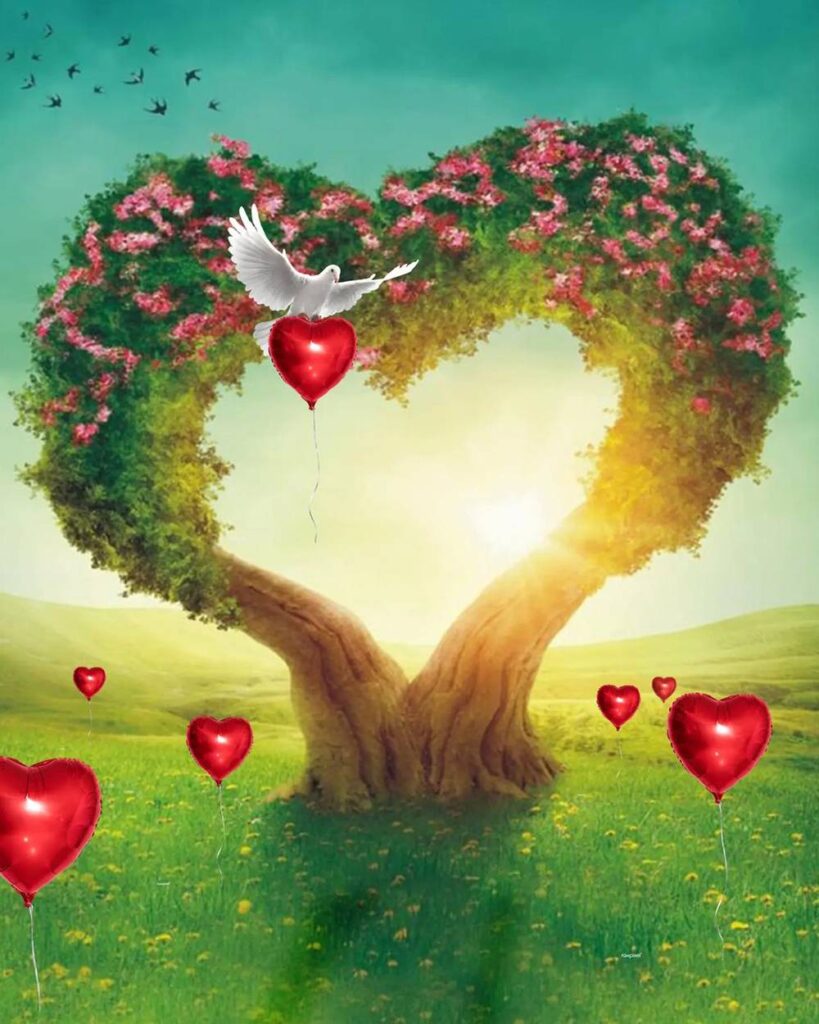 Heart shape nature hd editing background
