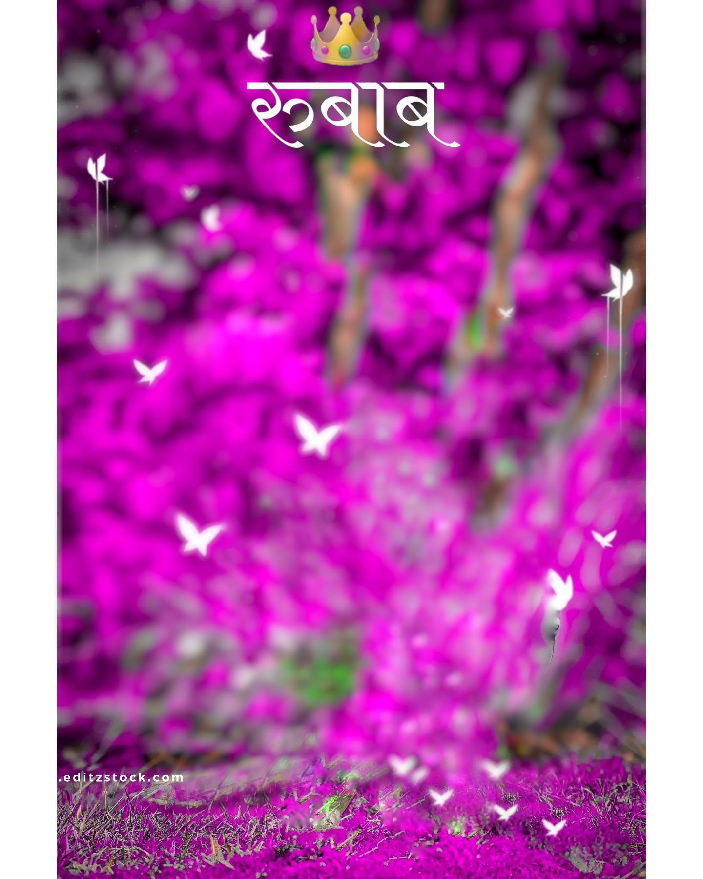Rubab Cb Editing Background
