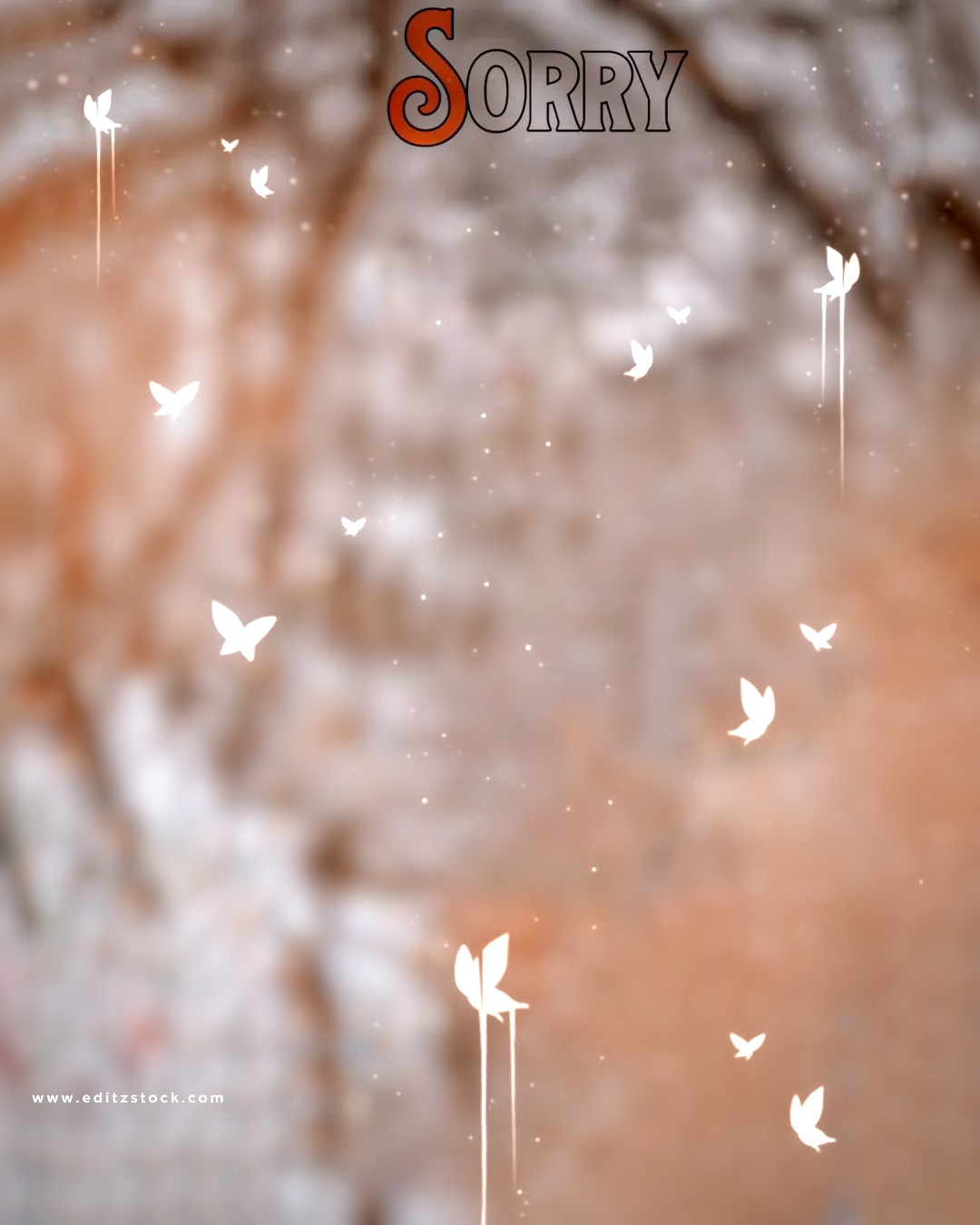 Sorry hd Action poster editing background