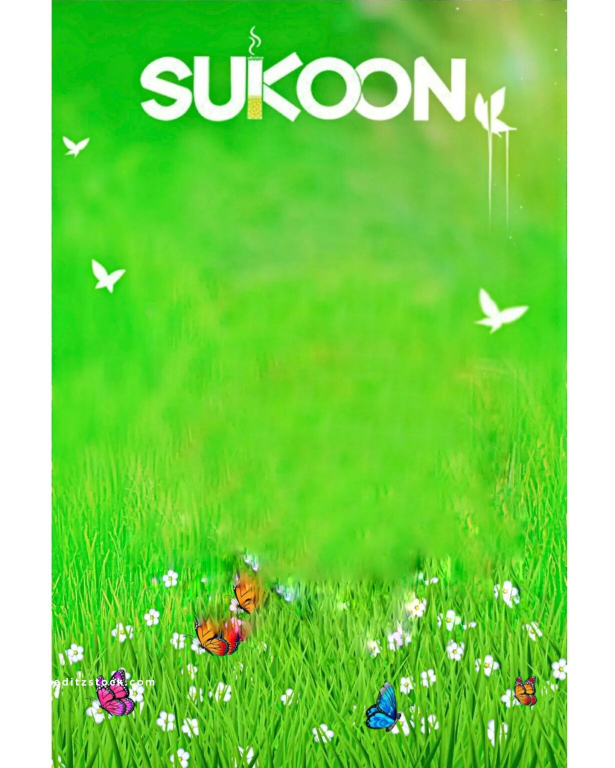 Sukoon hd cb editing background