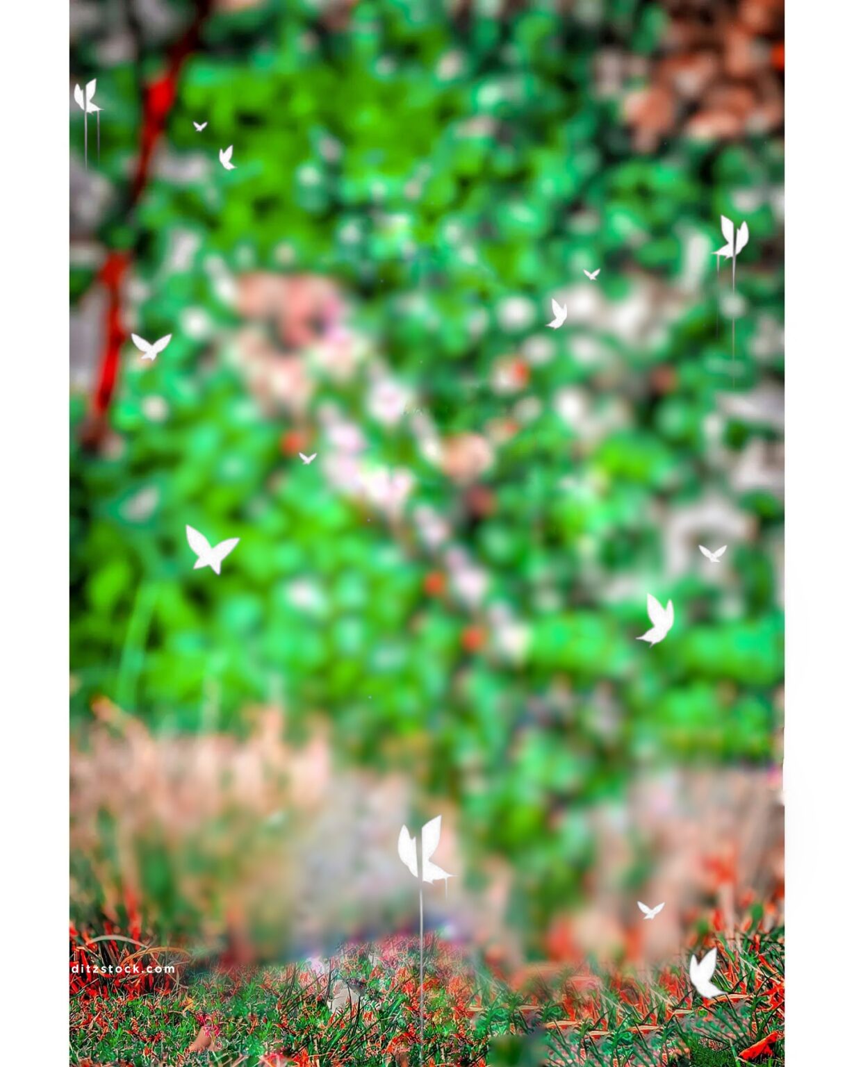 Butterflies cb editing background