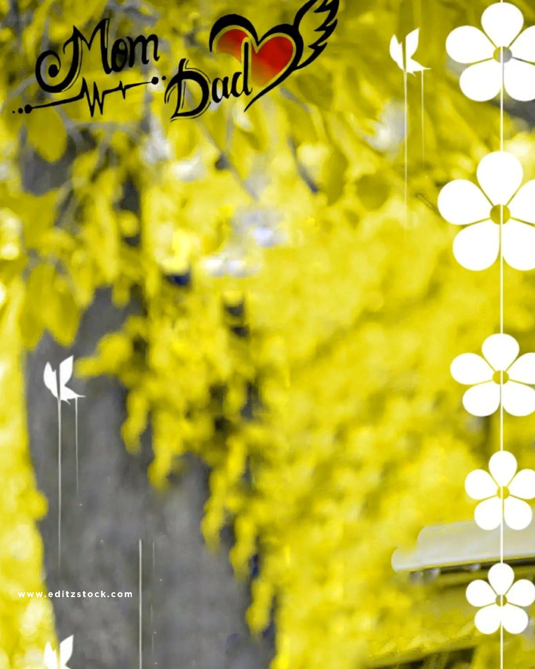 Hello mom cb photo editing background