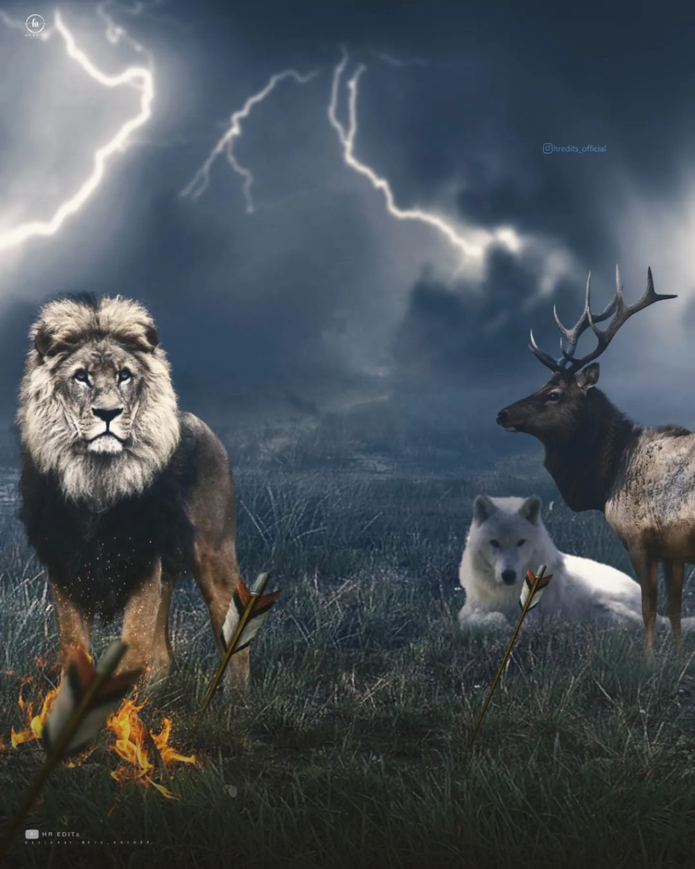 Animal photoshop editing background