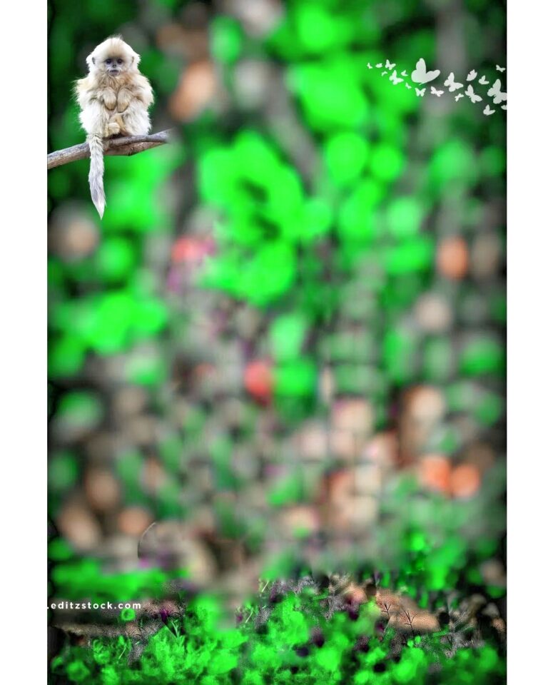 Monkey cb editing background hd