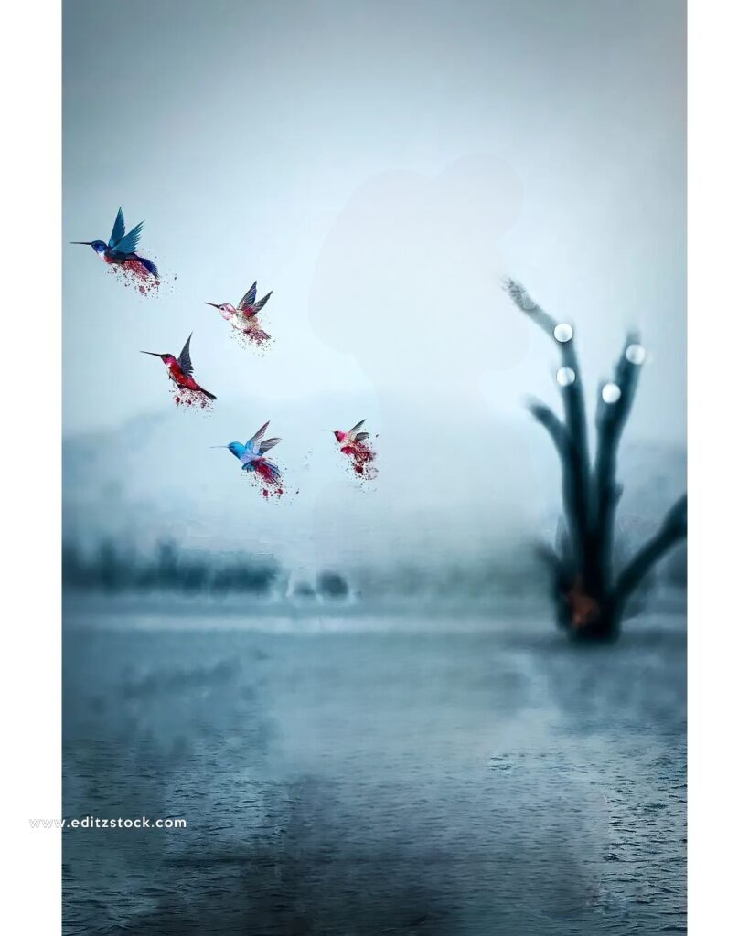 best cb background for editing