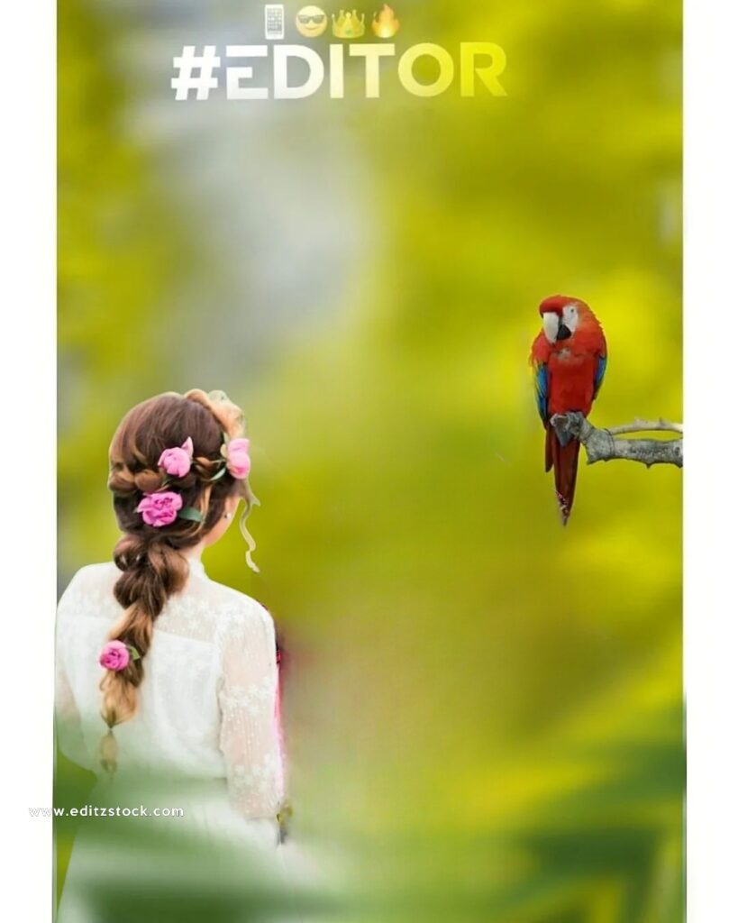 Editor photoshop cb editing background