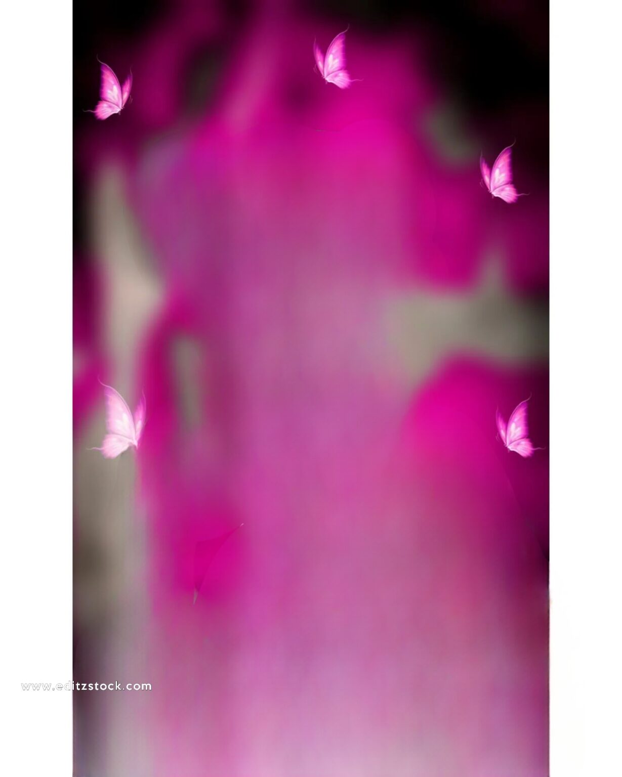 butterflies cb editing background