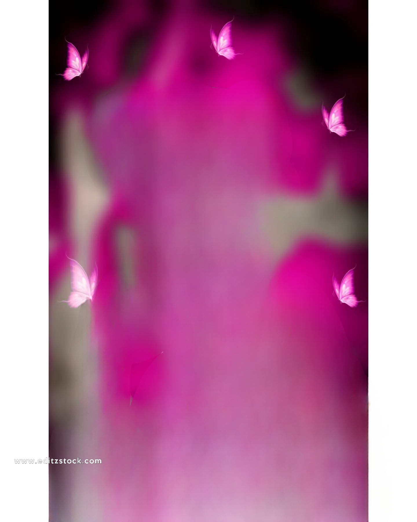 butterflies cb editing background