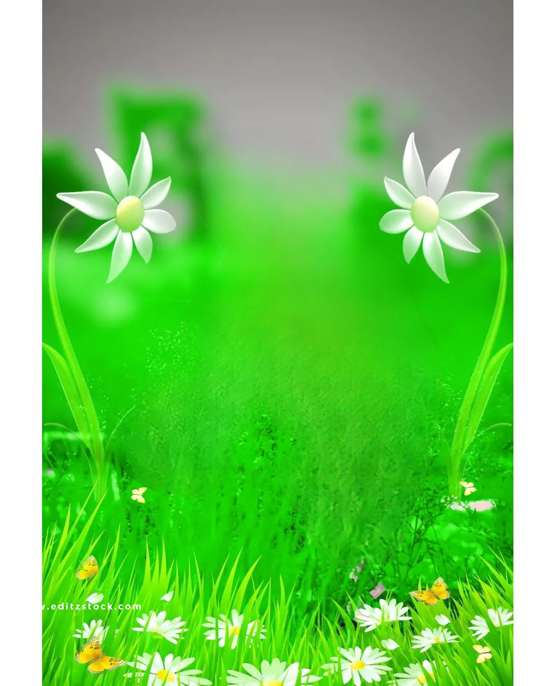 Flowers cb background hd full hd