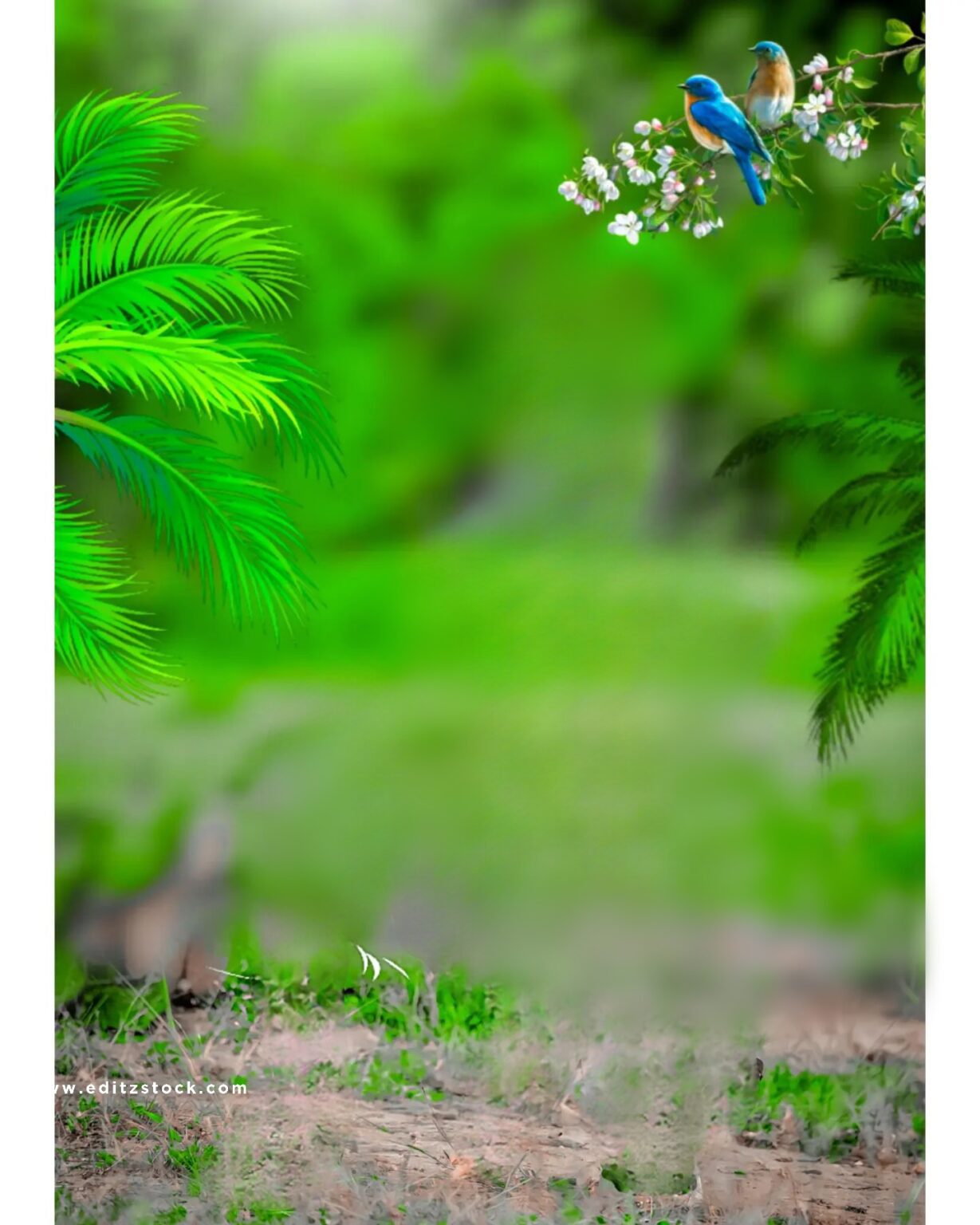 Nature birds cb background full hd