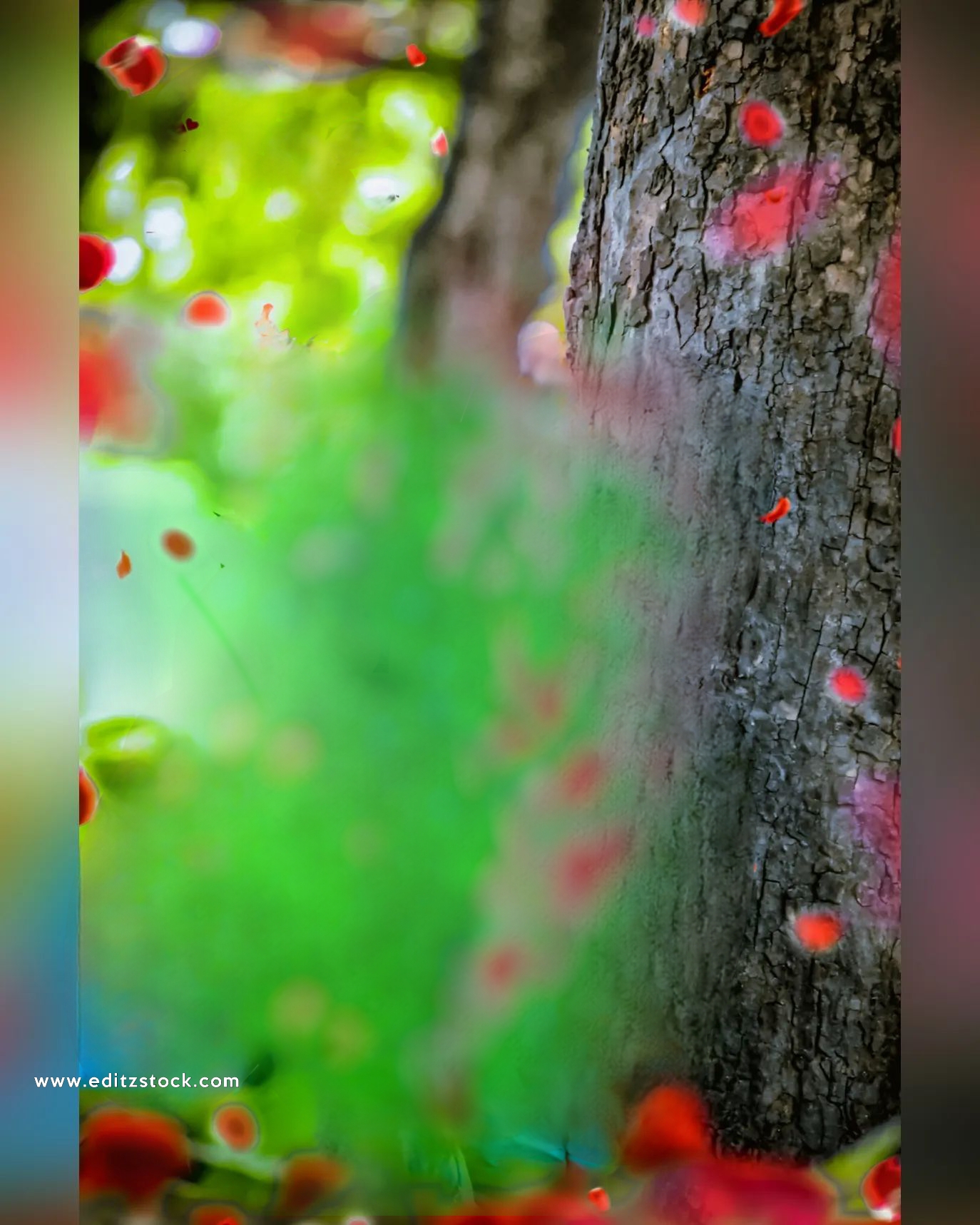 cb editing background snapseed