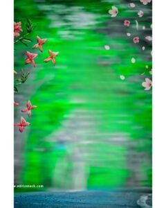 Nature cb background images