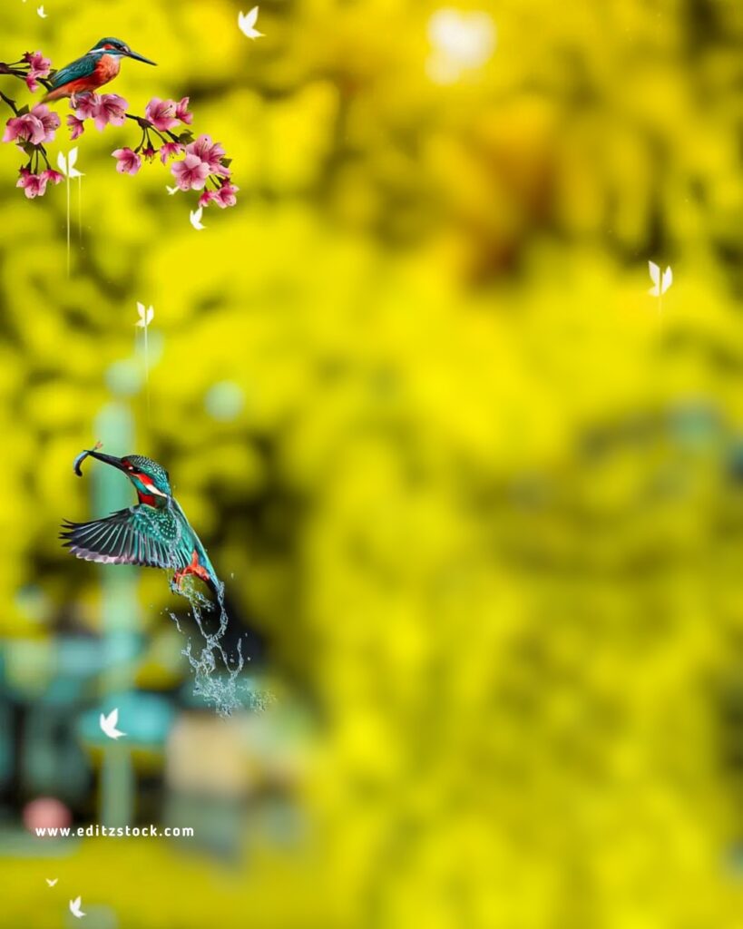 Birds hd cb backgrounds