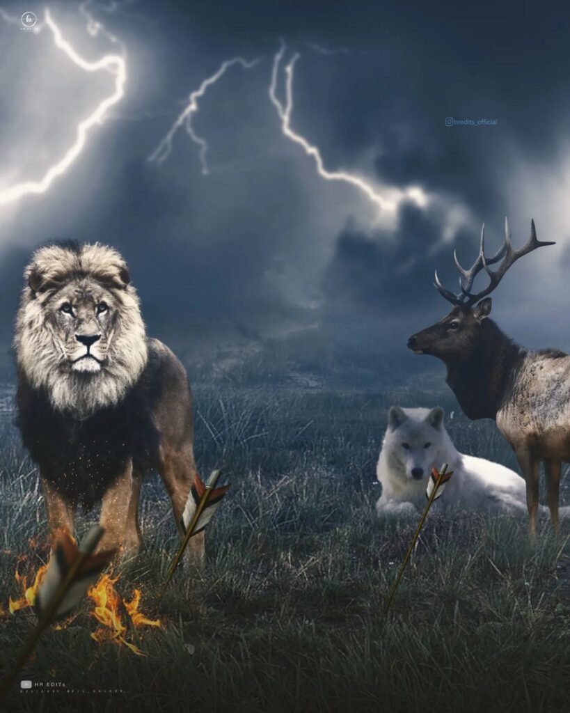 Lion hd editing background