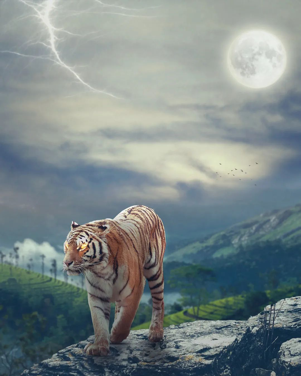 Tiger editing background