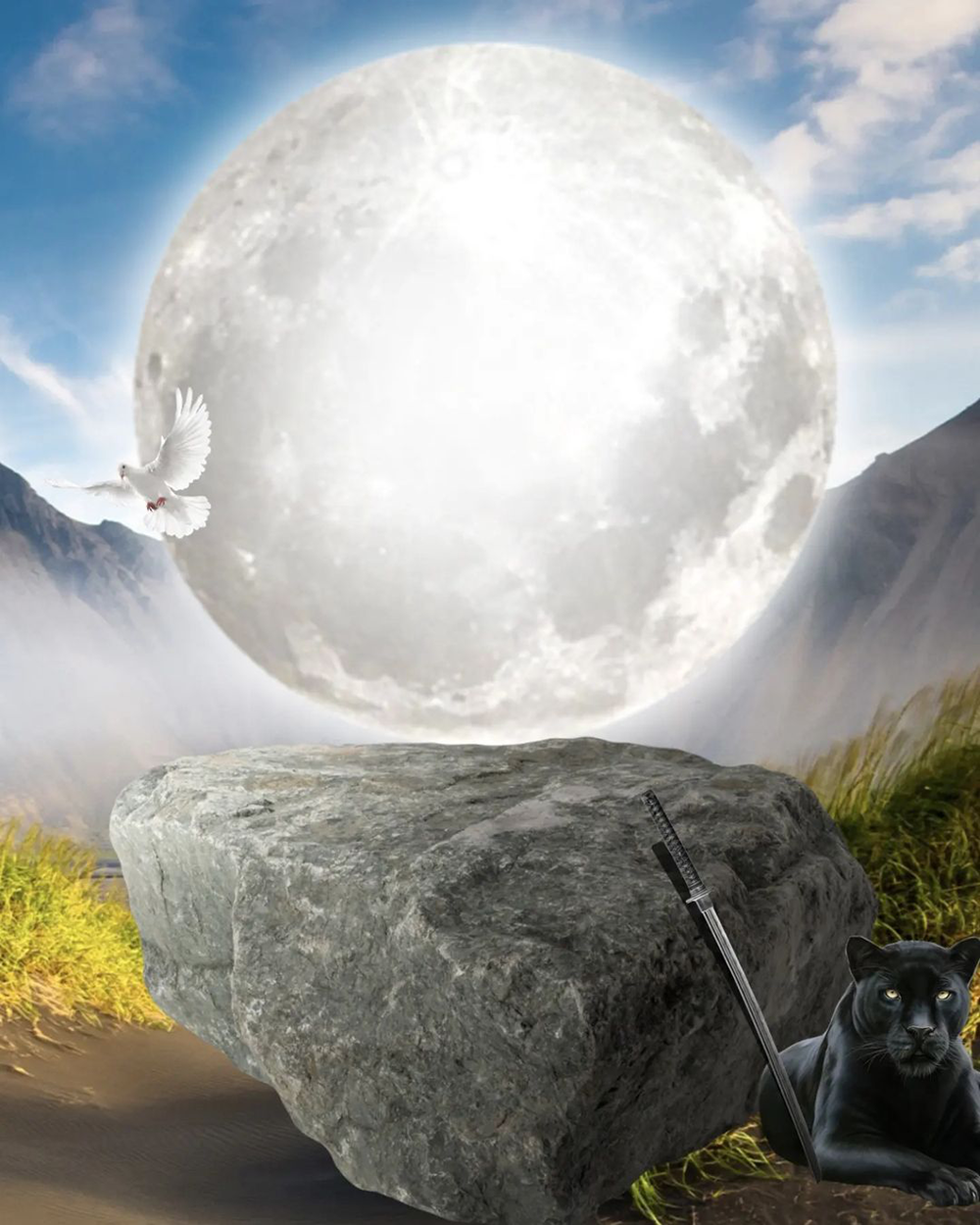 Moon & Forest Hd Editing Background