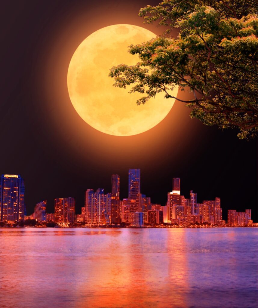 pink city with moon editing backgrounds