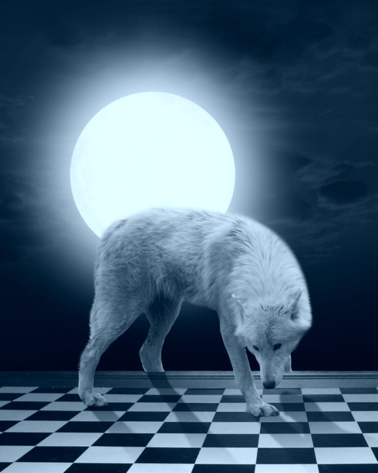 Wolf editing background