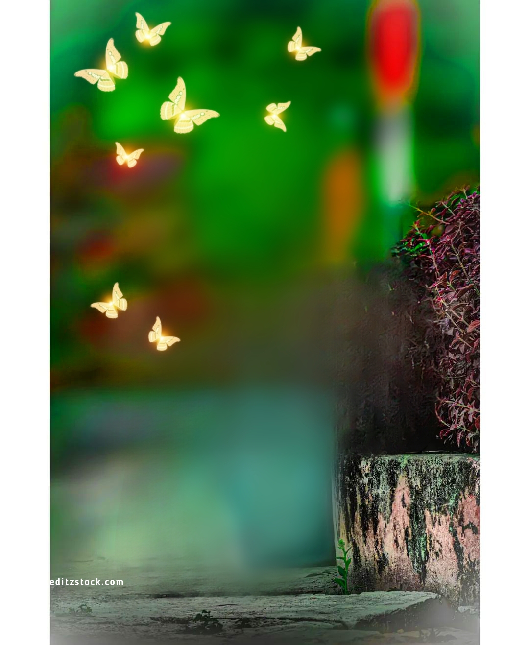 Butterflies cb background images for editing