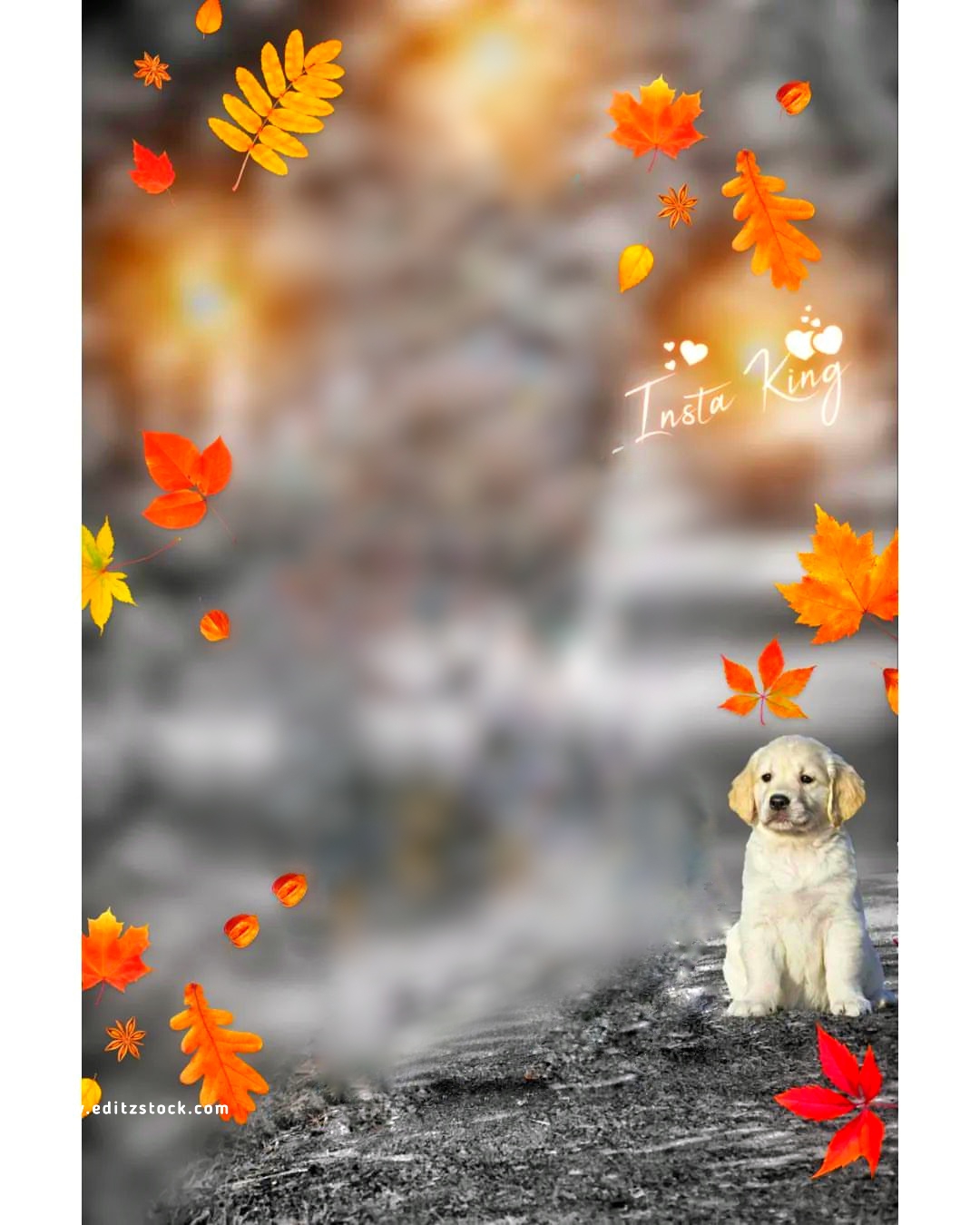 Insta king cb background images