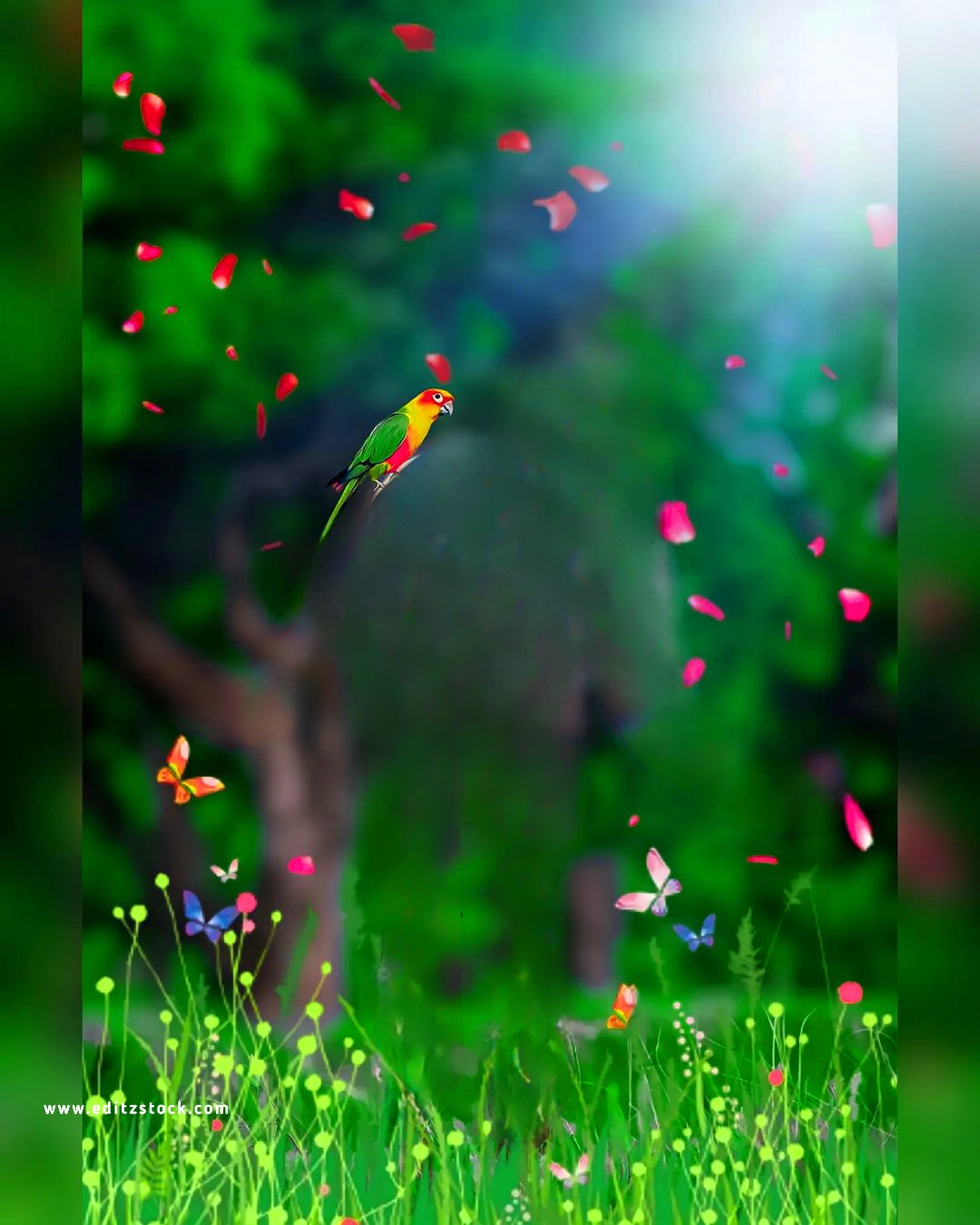 Flowers hd cb background