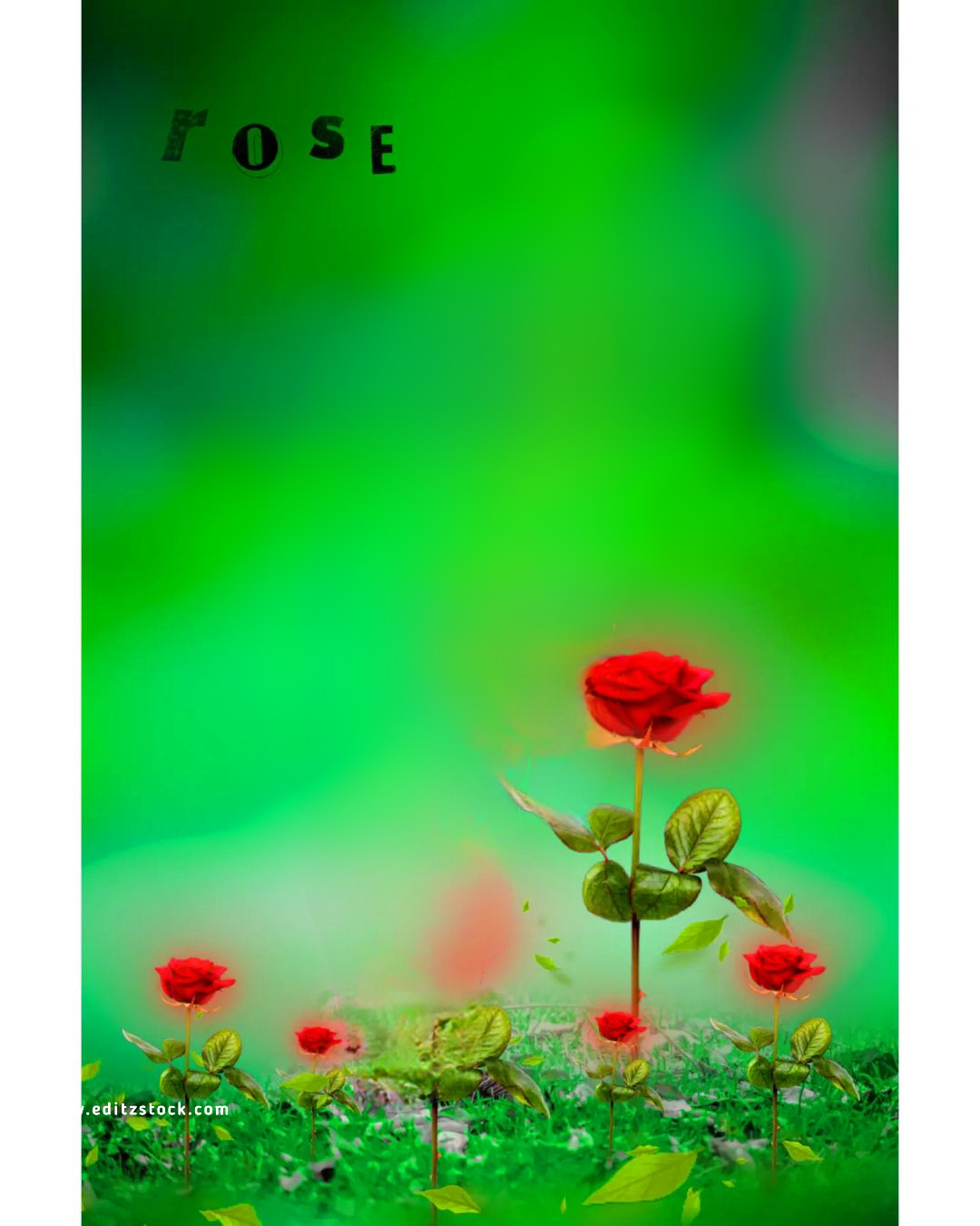 Rose lover cb background hd