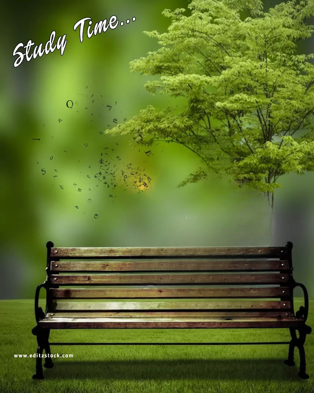 Study Time Chair Cb Background Full Hd