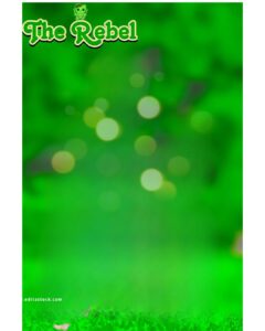 Nature cb background hd download