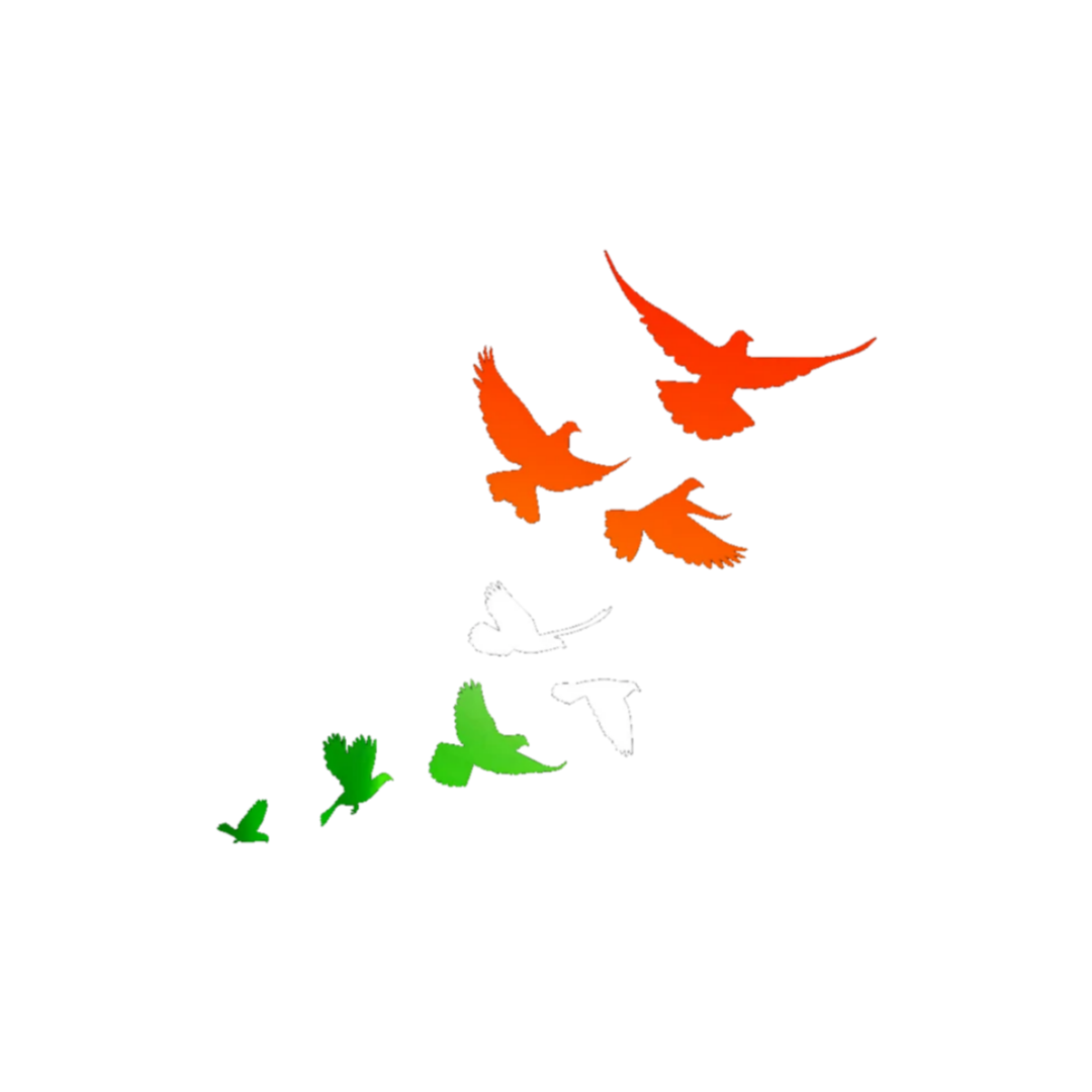 Tiranga color birds png