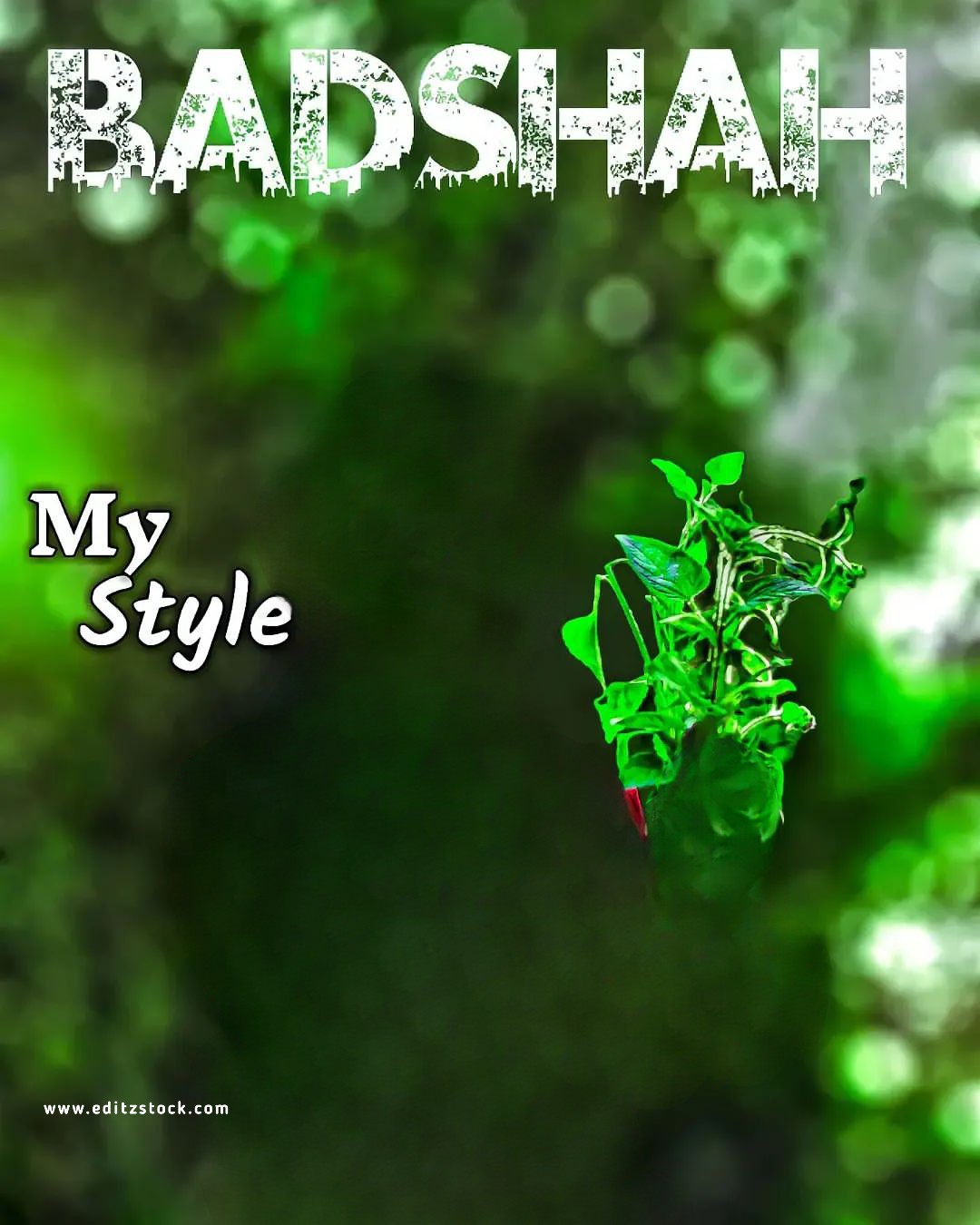 Badshah Full Hd Background Free