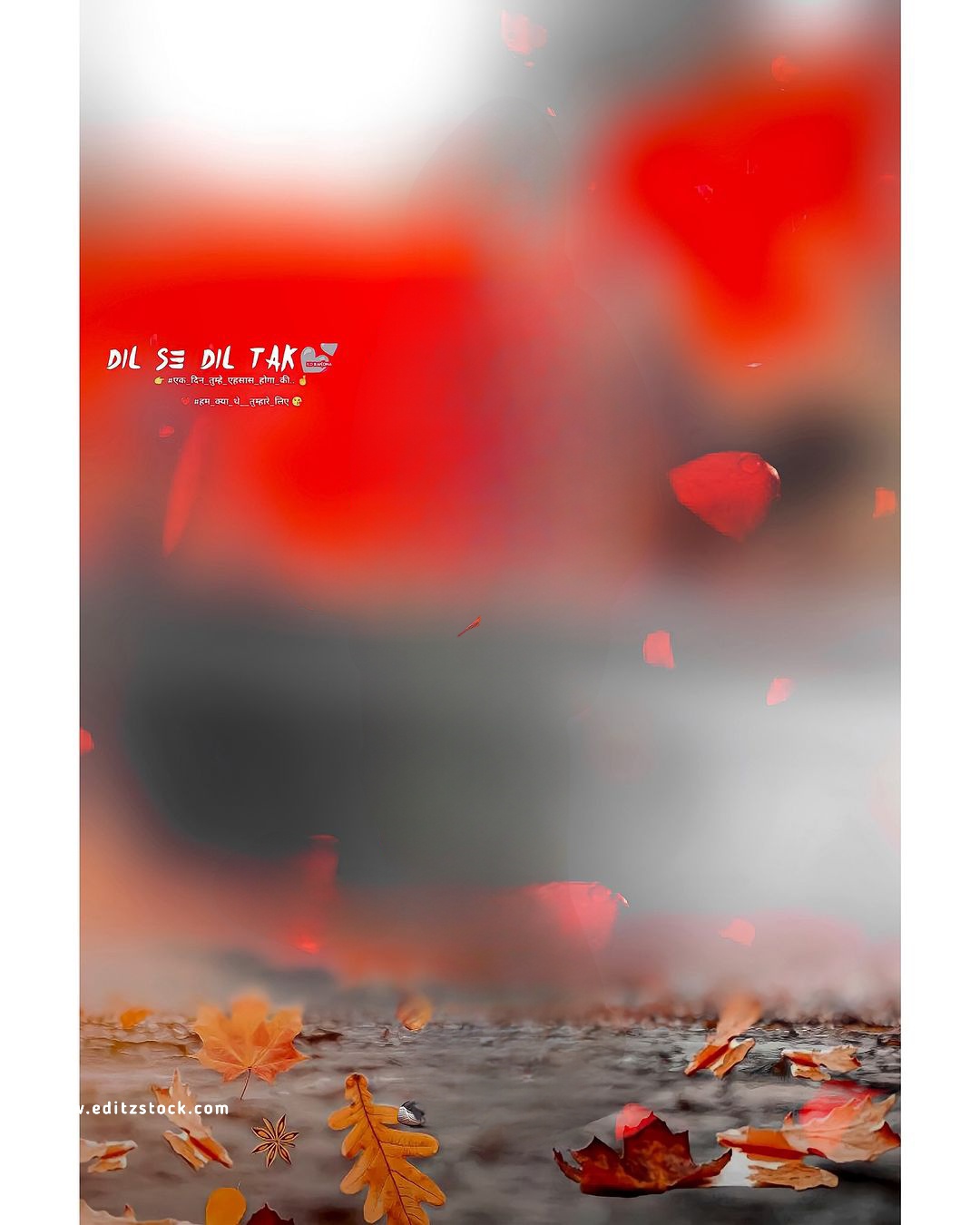 Tere Dil Ka Rajkumar Cb background 4k