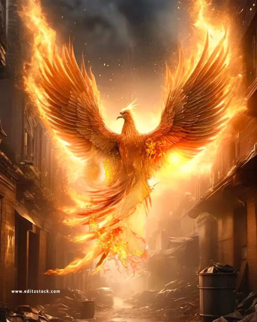 Fire Eagle Cb Editing Background