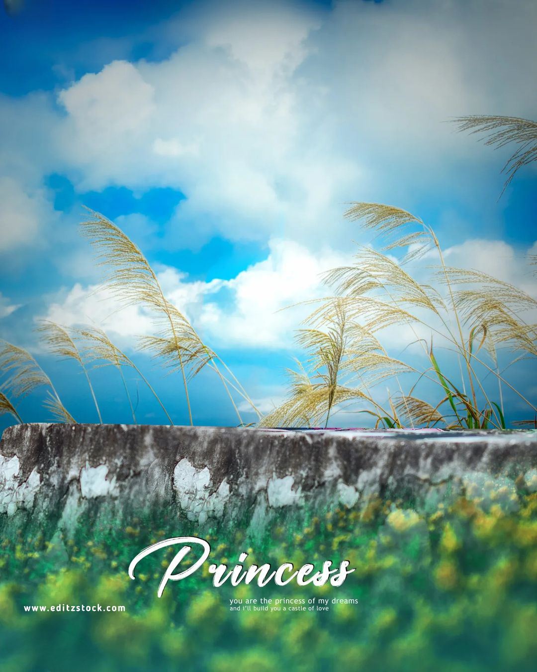 Picsart Manipulation Free Hd Editing Backgrounds