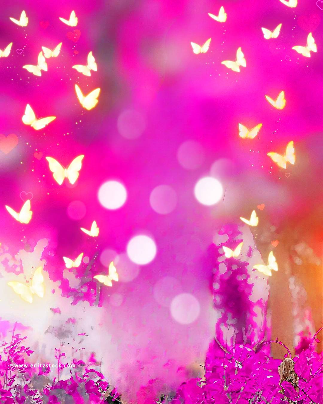 Glow Butterfly Free Hd Editing Backgrounds
