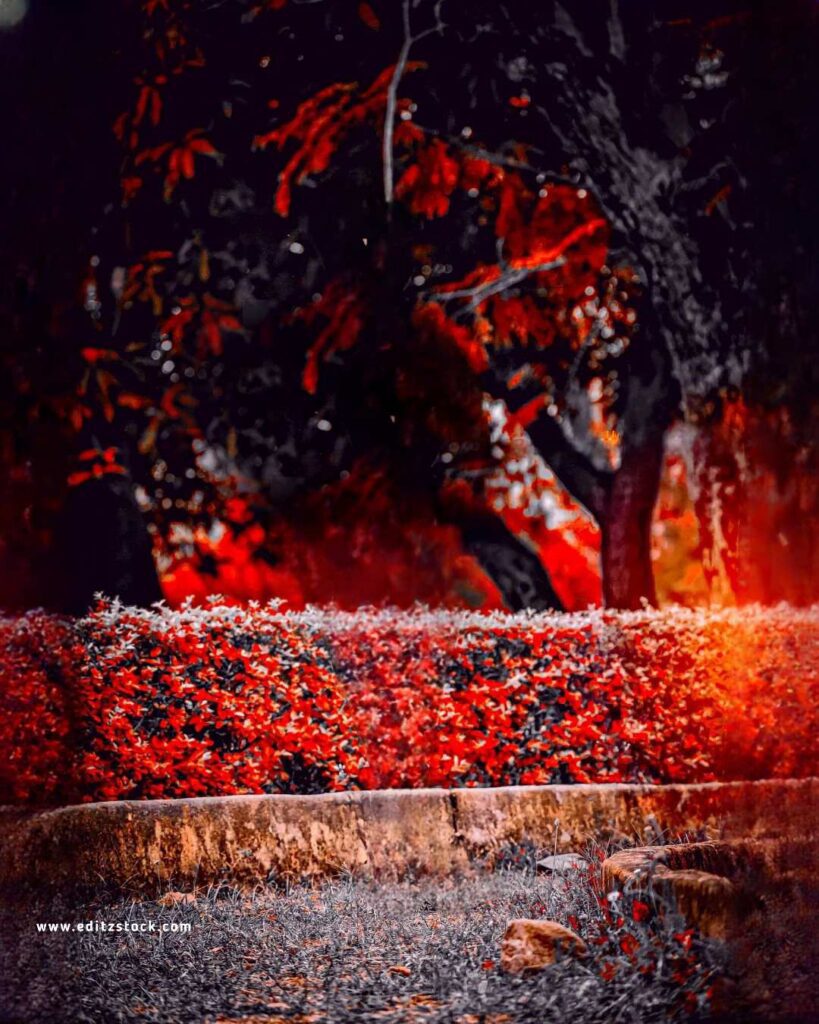 Red Cb Hd Photo Backgrounds Free