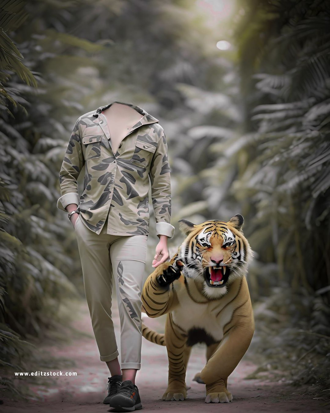 Tiger Cb Editing Backgrounds