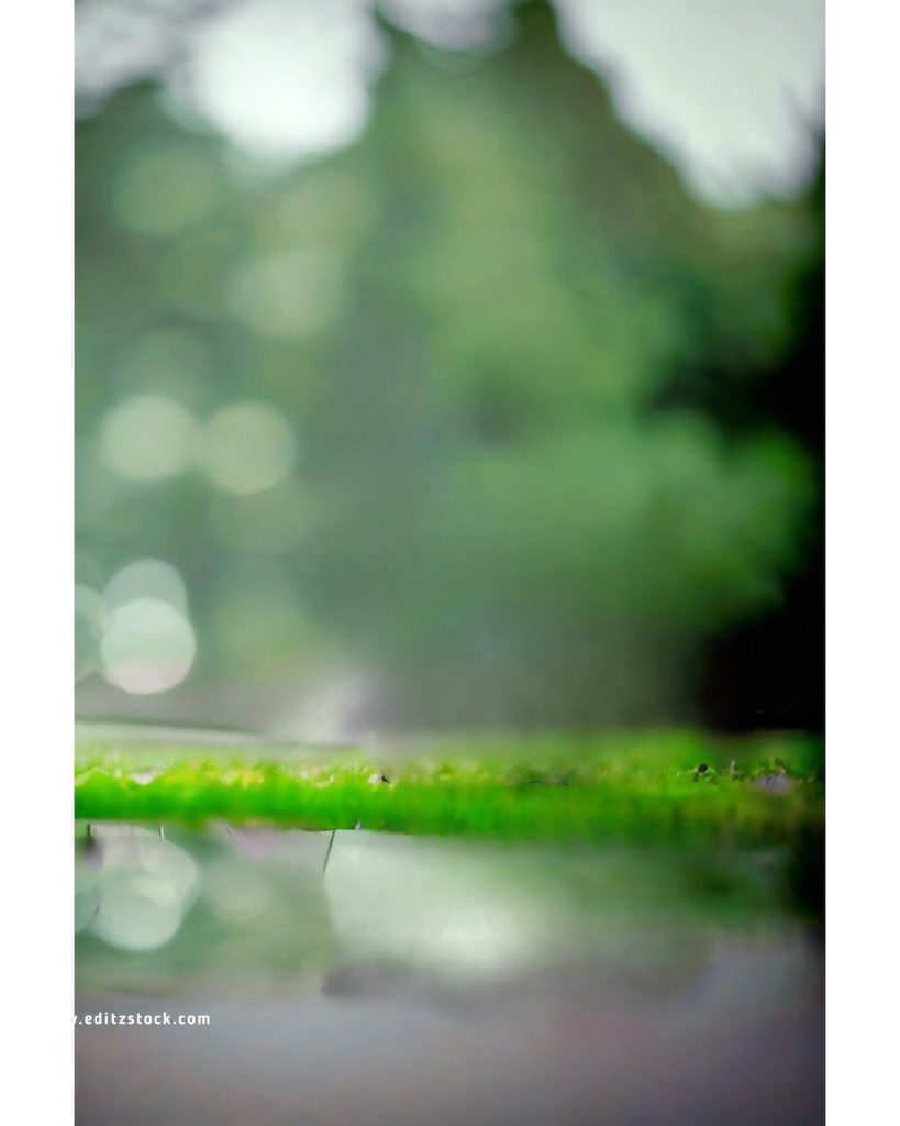 Green Cb Blur Backgrounds