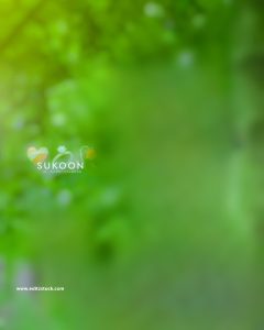 Sukoon cb editing background